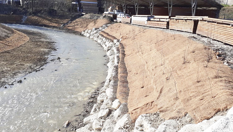 Programme d’Actions et de Prévention des Inondations (PAPI) - CAPI